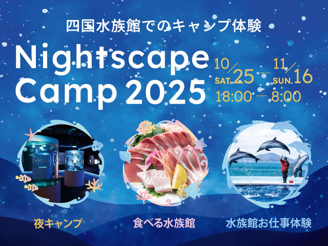 四国水族館でのキャンプ体験！ 夜の水族館『Nightscape Camp(ナイトスケープキャンプ)2025』を開催 2025/10/25（土）～2025/11/16（日）｜トピックス｜四国水族館